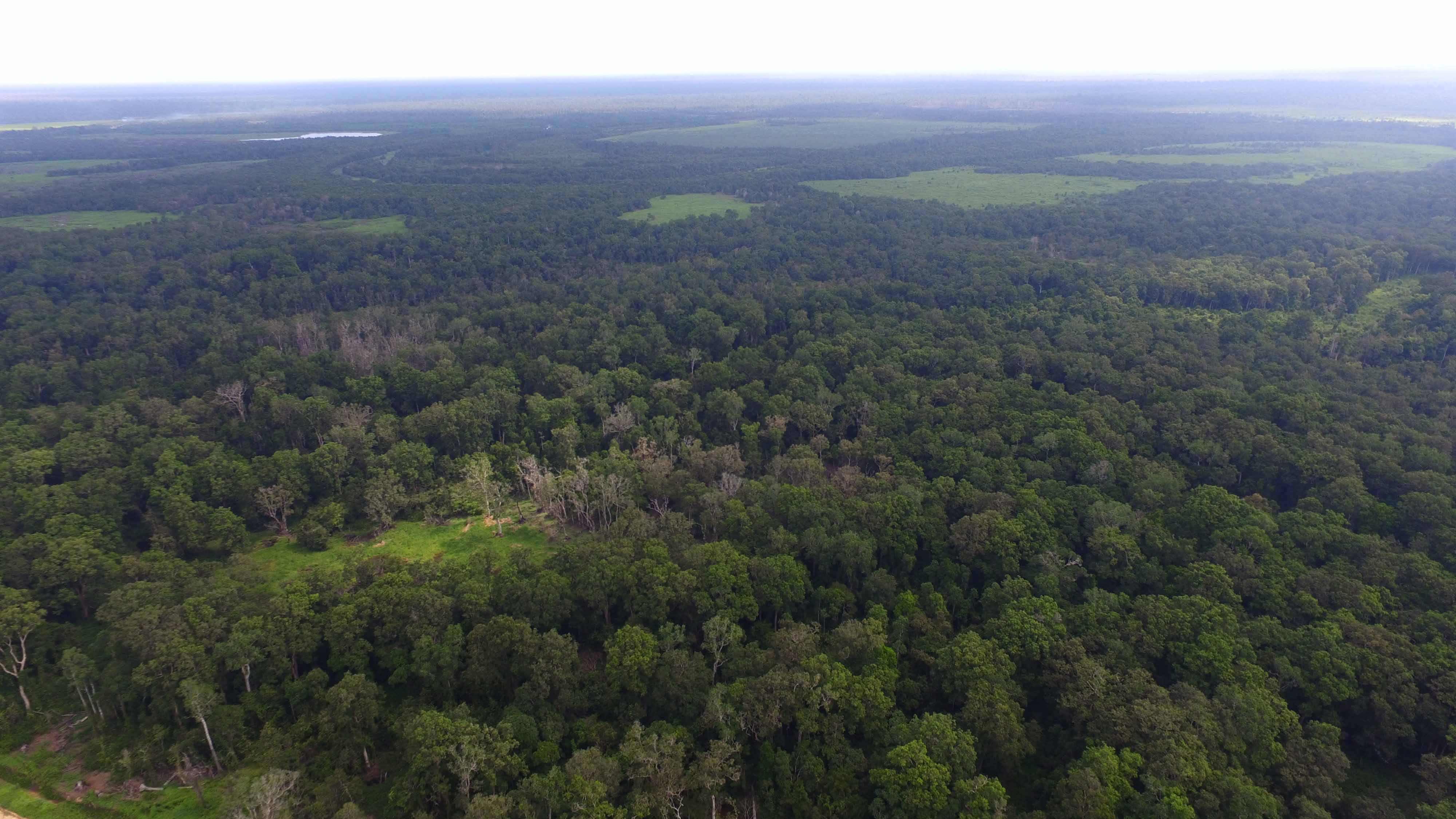 F1H2O UIM World Championship